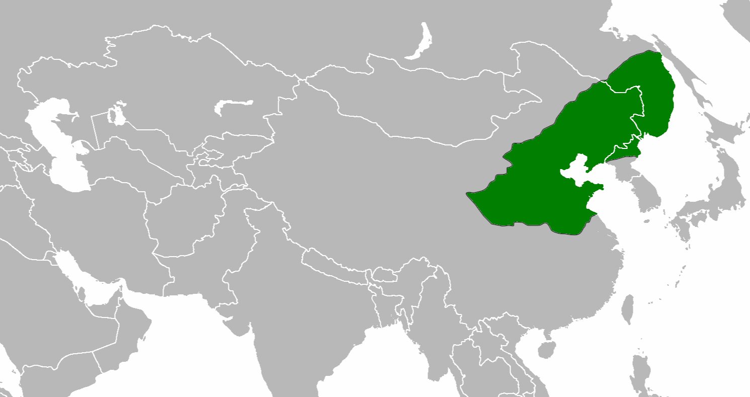 Historia del Imperio Chino de Jin del Norte: ascenso, caída y legado