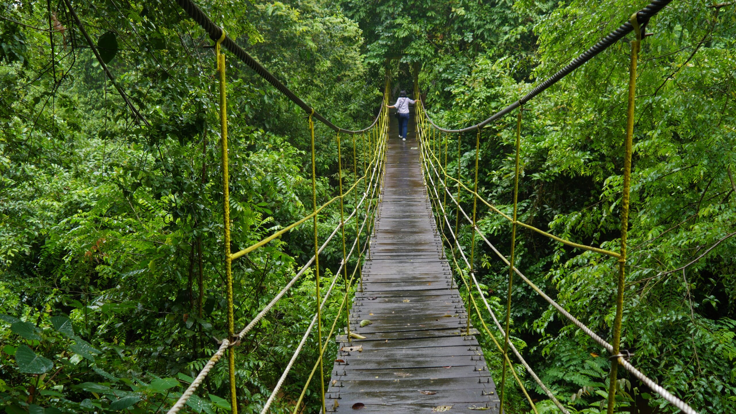 Historia del Reino de Kutai: origen y declive