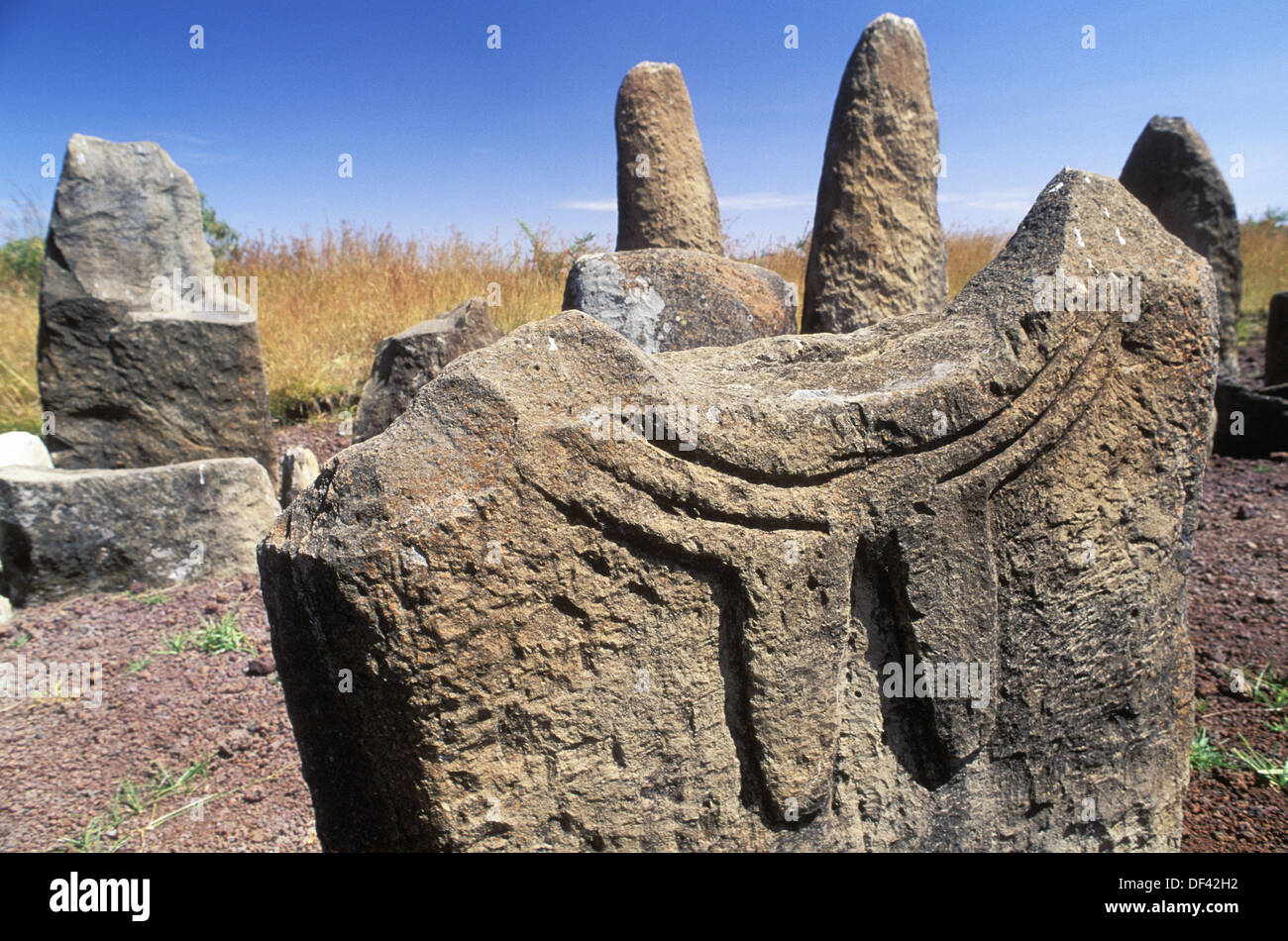 La historia del Reino de Shewa: de fundación a caída